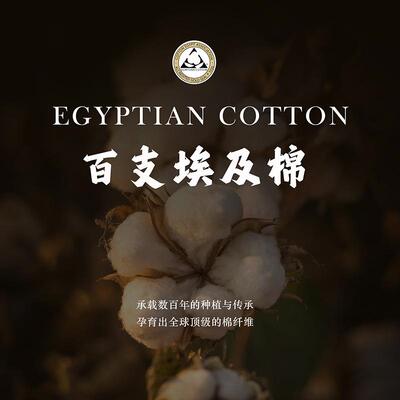 L-sevenstar七星丨2025春夏臻品百支高密进口埃及棉四件套 莉莉安
