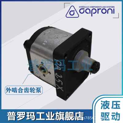Caproni齿轮泵20A(C)4.5/8.2/11.3/15/19/25Y006液压泵