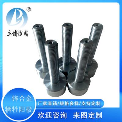 海洋工程防腐锌阳极 锌合金牺牲阳极 立博防腐