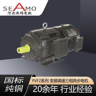定制生产YVFE2-4极2.2-400W变频调速三相异步电动机