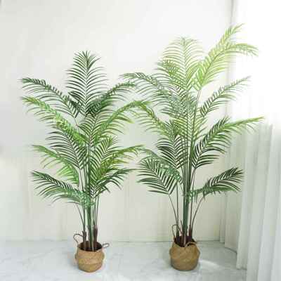 仿真散尾贵妃葵凤尾葵散造尾竹盆栽葵人YC20101塑料植物室造内外