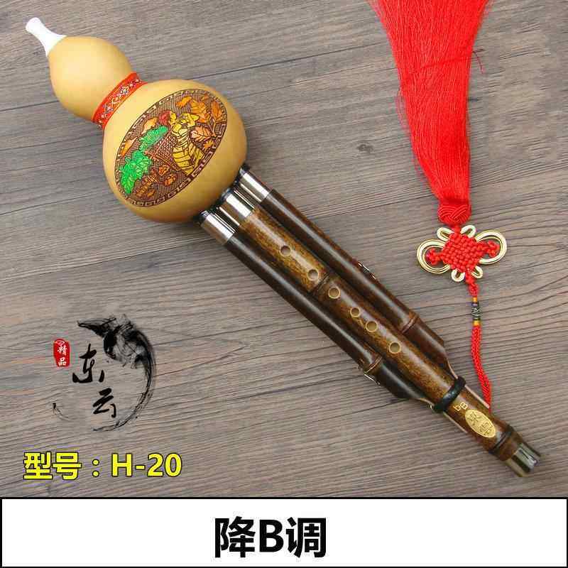 正品云南东云葫芦乐器丝初学教竹学演奏紫/降B调/C调葫芦儿丝童成