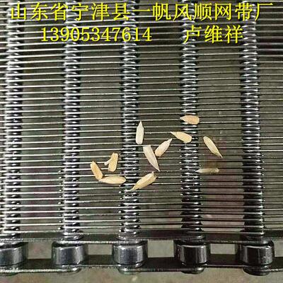 输送烘干机网带  陶瓷烘干机网链 链网  专业厂家专心制做