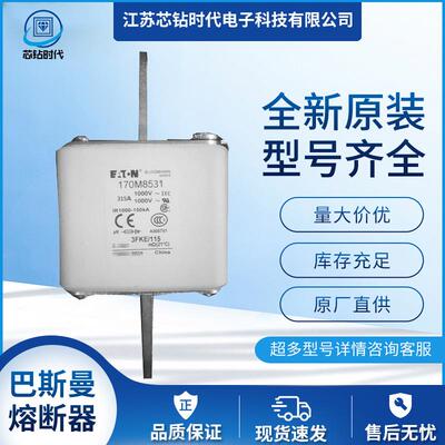 170M8537 170M8538 170M8539 巴斯曼BUSSMANN快速熔断器保险丝