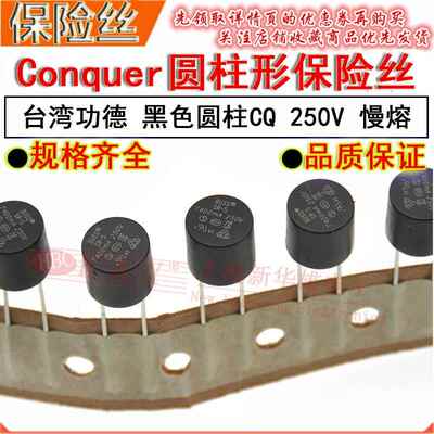 黑色圆柱保险丝管 T315MA 400MA 500MA 800MA 1A 1.25A 1.6A/250V