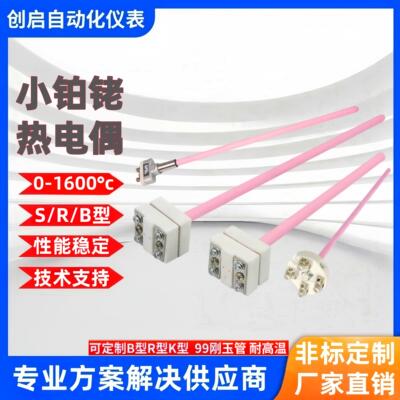 小铂铑热电偶S/B/R型耐高温马弗炉电热偶WRP-100温度感测器工业