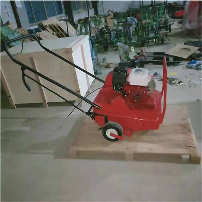 Luan pnchineg machin手PQY推式草坪w打孔机 园林绿化透气打眼机