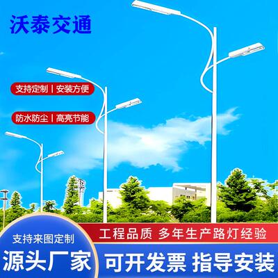 厂家直供LED路灯单双臂681012米路灯 高低臂双头路灯单臂单头路灯