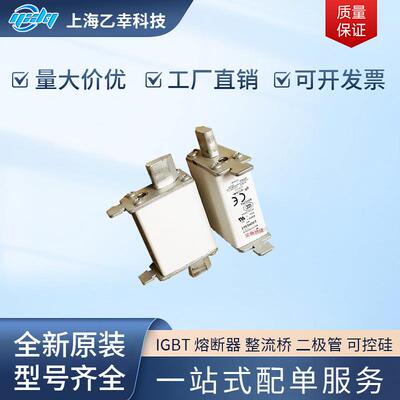 巴斯曼熔断器 170M1520 170M1521 170M1522 170M1532 170M1534