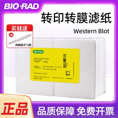 Western blot转膜转印湿转厚滤纸1703965/1703932bio-rad天能六一