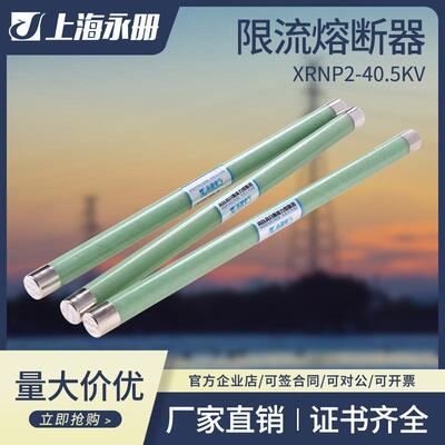 高压限流熔断器XRNP1-35-40.5KV/0.5A-3.15A-50KA高分段能力PT用
