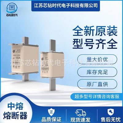 RS309-MM 1000V 西安中熔熔断器 新能源汽车保险管