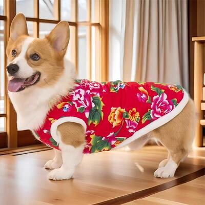 狗服秋冬羊毛里衬大花棉袄新年贺词金毛泰迪柯基小、中、大型犬节