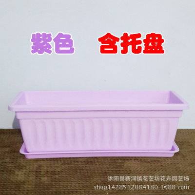 长方形塑料盆家庭种菜多色花瓶
