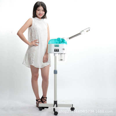 单管冷热温喷雾机泰东美容喷雾机补水仪家用蒸脸器冷热喷雾蒸脸仪