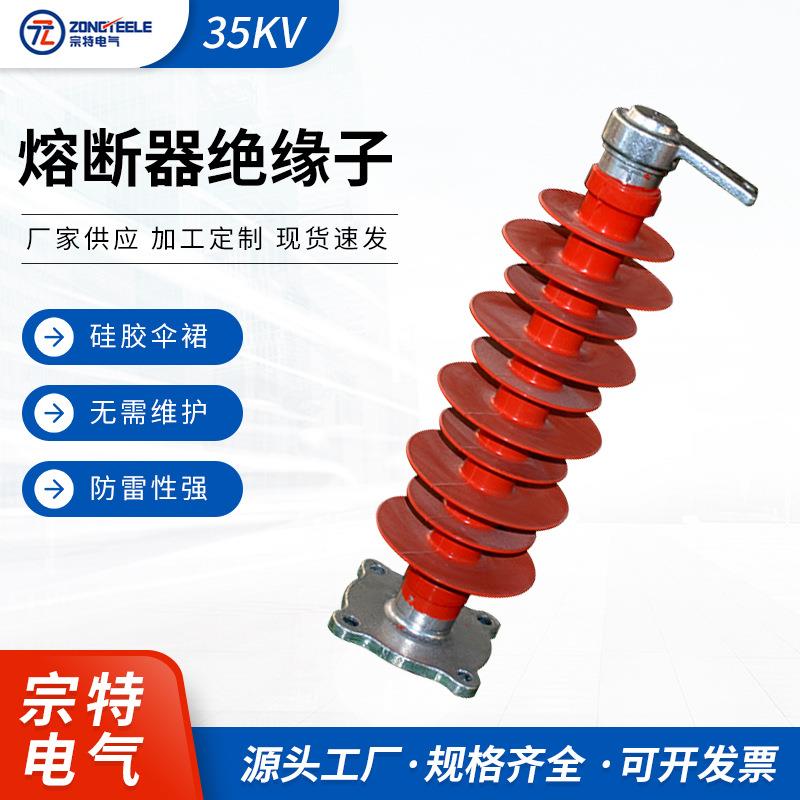 宗特电气RW5熔断器绝缘子35kv高压线路电力部门厂家供应