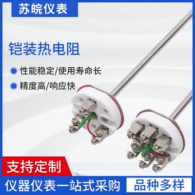 WZPK-010不锈钢温度传感器PT100三线制六线制铂热电阻芯测温