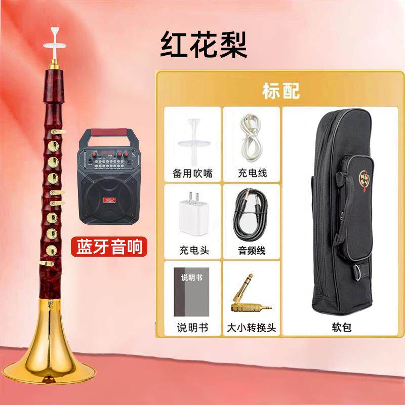 正品呐华夏之韵电唢新款初乐器大全学者中老人年演奏CDGG降BA演奏