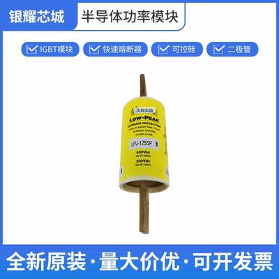 圆柱形熔断器 交流 保险丝 巴斯曼LPJ-125SP全国发货批次22+