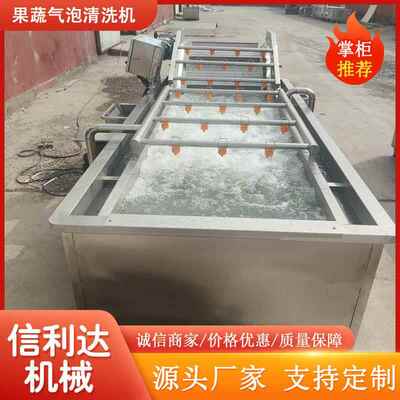 全动果蔬米气泡清洗机多功能生自姜洗姜机果蔬QSR纳杀菌洗清设备