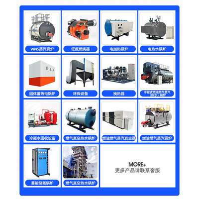 生FKL物质锅蒸汽炉生食品加工1-4吨生物质热水锅炉物质蒸汽发生器