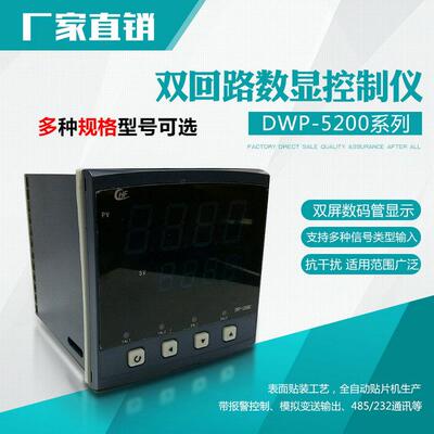 厂家直销智能双回路温度控制器DWP-5200压力控制器液位控制器