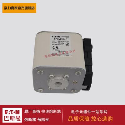 熔断器170M6339 170M6340 170M6341 170M6342 170M6343 170M6344