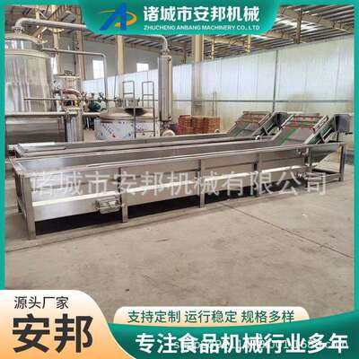 新型杨梅气泡清洗机工IXP流自动蓝莓清洗设备蔓越莓全清洗加水线
