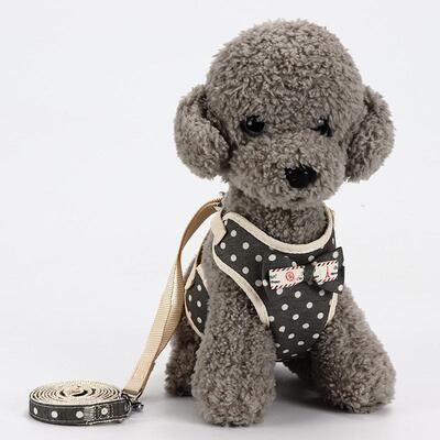 Small Dog Harness and Leash Set Pet Cat Vest Harness with