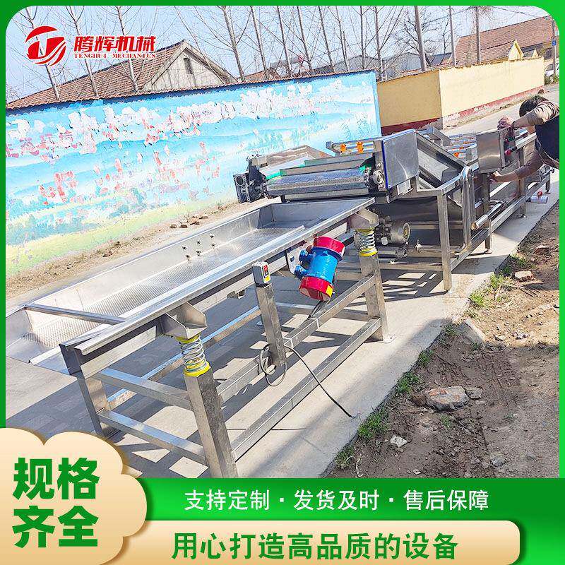 不锈钢全自动香菇脚清洗机菌菇类气泡洗菜机蔬菜气泡清洗设备