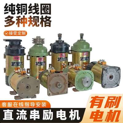 电动三轮车电机 直流串励电机24v36v48v60v72V有刷电机水电瓶电机
