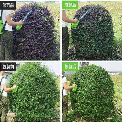 刃升级款双RAK大功率剪电动篱 绿现货续航时间长的轻便型绿篱机