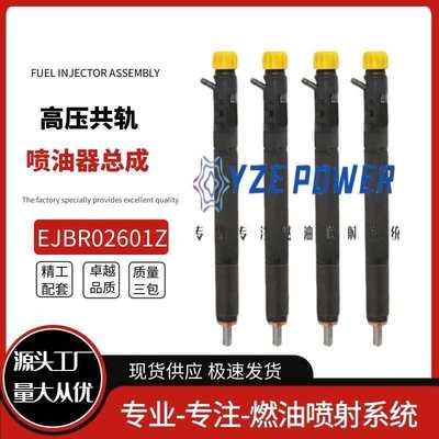 EJBR02601Z 适用于雷斯特2.7T电喷油嘴总成A6650170321柴油