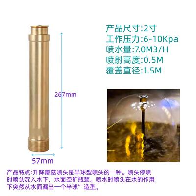 厂家VDS全铜球降蘑假菇喷头加长景观半鱼池山庭院升水景喷泉喷头