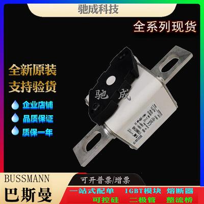 巴斯曼170M5775 170M5776 170M5804 加工制作量大价优 紧凑熔断器