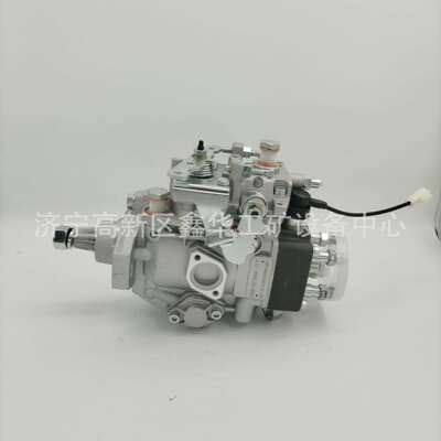 专业销售VE泵196000-5030 1960005030 104641-7270 1046417271