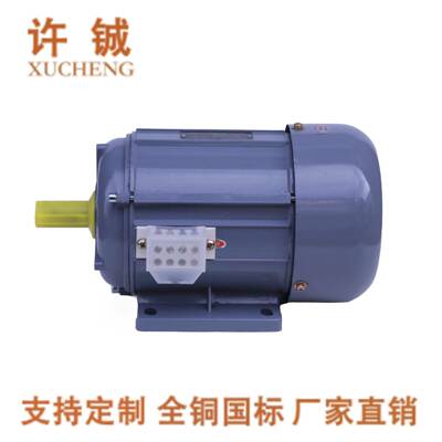 厂家供应 YS5622-120W电机 2极2800转小功率电机 三相异步电动机