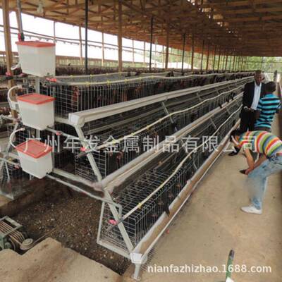 多层立体蛋鸡笼镀锌阶梯养殖笼蛋鸡养殖出口鸡笼chicken cages