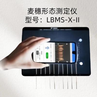 麦穗形态测定仪 型号：LBMS-X-II测量范围：5~20cm测量误差：±2%