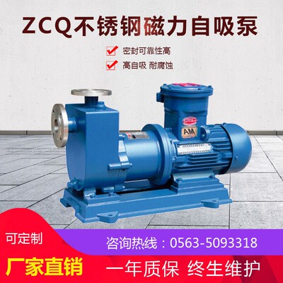 卧式耐酸碱化工泵 不锈钢自吸磁力泵 碱液输送泵 ZCQ50-40-160