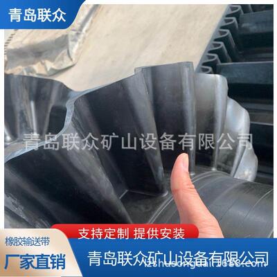 山东大倾角输送拌带家E150聚厂酯帆布裙边带搅站54126环P形输送带