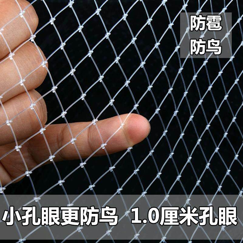 防鸟网果树果园大棚尼龙线防鸟用网农用樱桃树嘉宝果葡萄鱼塘天网