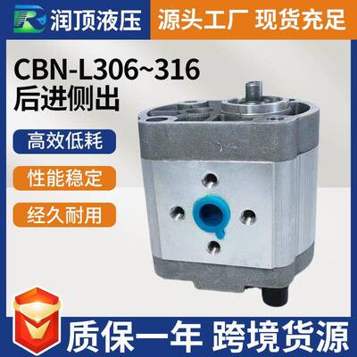 L泵中州泵液压齿轮高压油泵CBN-F306/316后侧进出平键螺纹菱形件