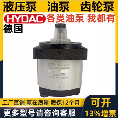 德国HYDAC贺德克液压齿轮泵PGE100 PGE101 102 103 104 油泵马达