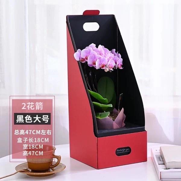 蝴蝶兰提盒鲜花插花盒花店花艺礼品包装盒新年花卉礼品礼物装饰盒