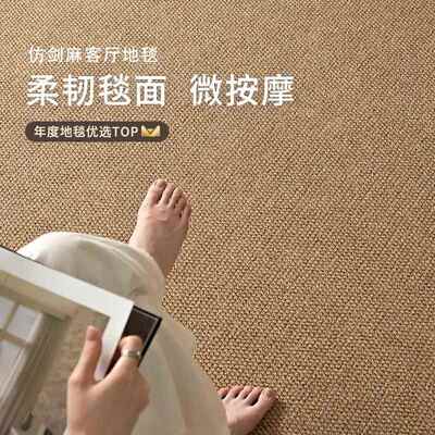 仿剑麻地款毯客厅耐脏易打理新fjm11625中古防风卧室面猫抓地垫防