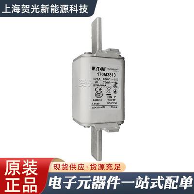 快速低压熔断器170M3228/170M3813/170M3814/170M3815/170M3816D