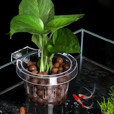 Plant Holder For Fish Tank Clear Aquatic Hangings Pot