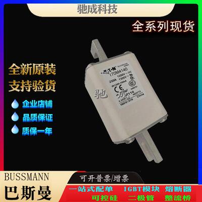 巴斯曼170M4139 170M4140 170M4141 现货直销零售 原装熔断器