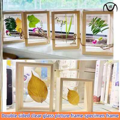 Double sided transparent acrylic photo frame specimen frame